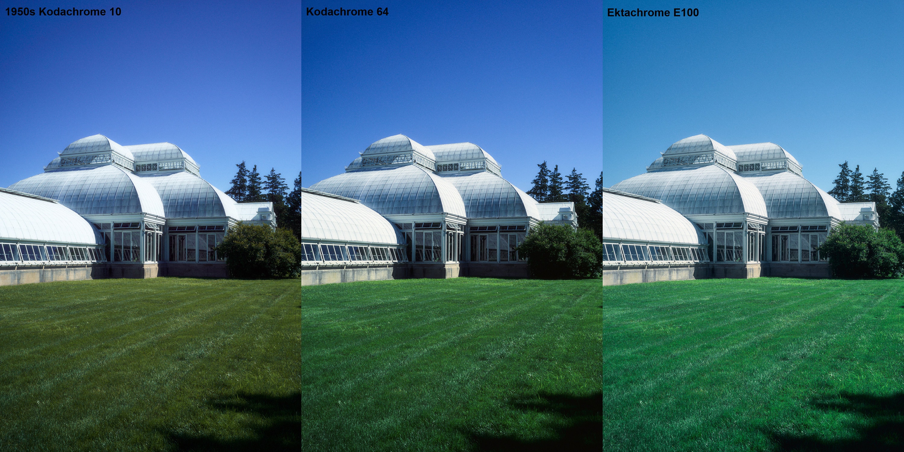 Ektachrome Vs Kodachrome