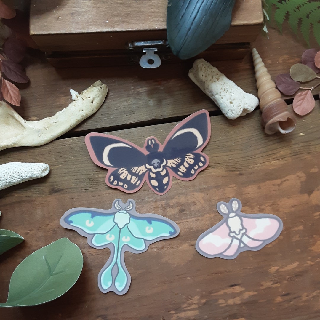 Moth Moth Stickers Rosy Maple Moth Luna Moth Cottage-core Insects Bugs ...