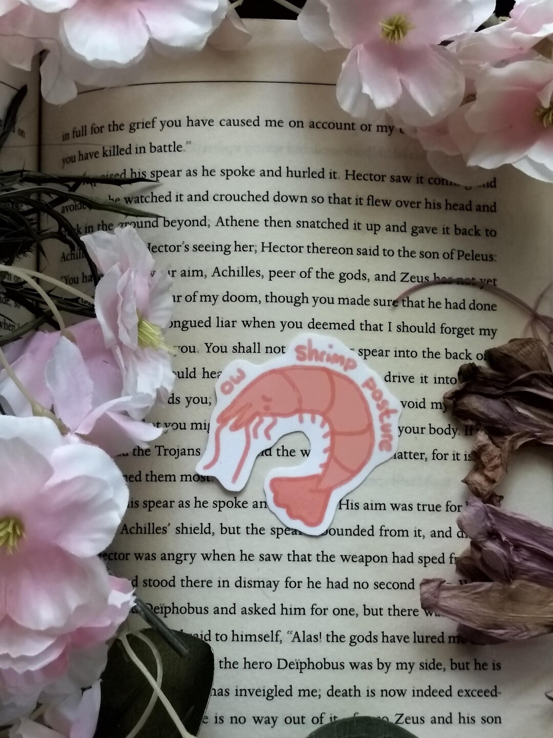 Shrimp Shrimp Sticker Cute Cute Sticker Funny Funny Sticker Funny ...