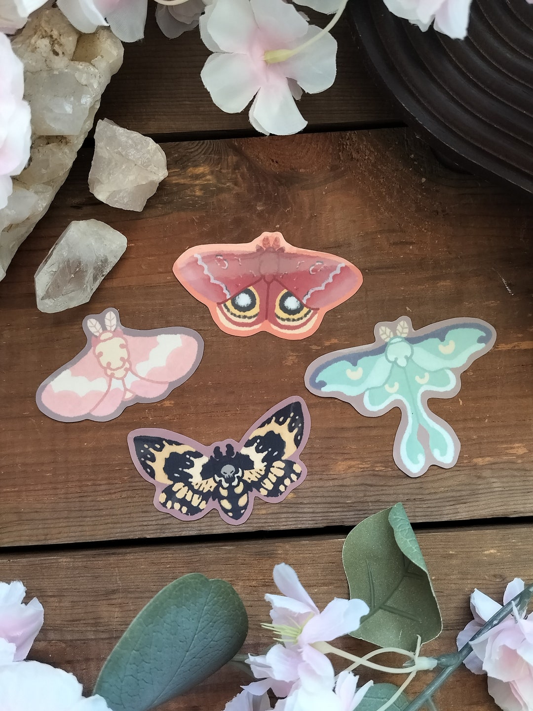 Moth Moth Stickers Rosy Maple Moth Luna Moth Cottage-core Insects Bugs ...