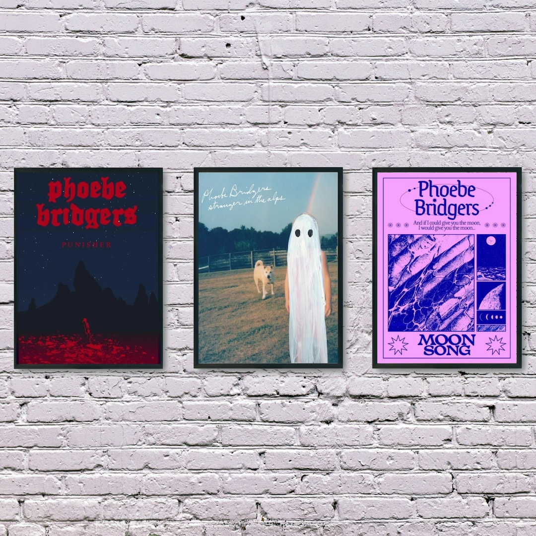Pheobe Bridgers Canvas Poster Prints - Etsy