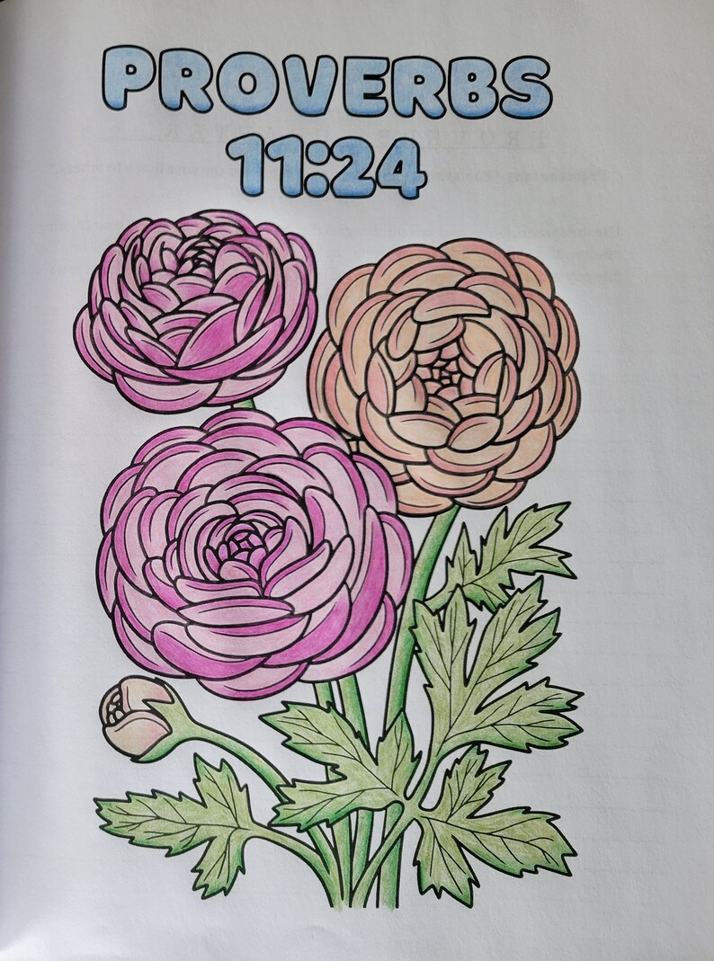 Proverbs Coloring Book and Journal 3-in-1: Coloring Book, Journal ...