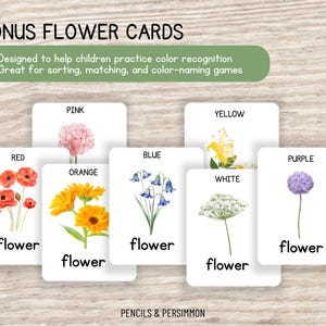 Backyard Adventure Flashcards for Kids – Nature Hunt With Sensory ...
