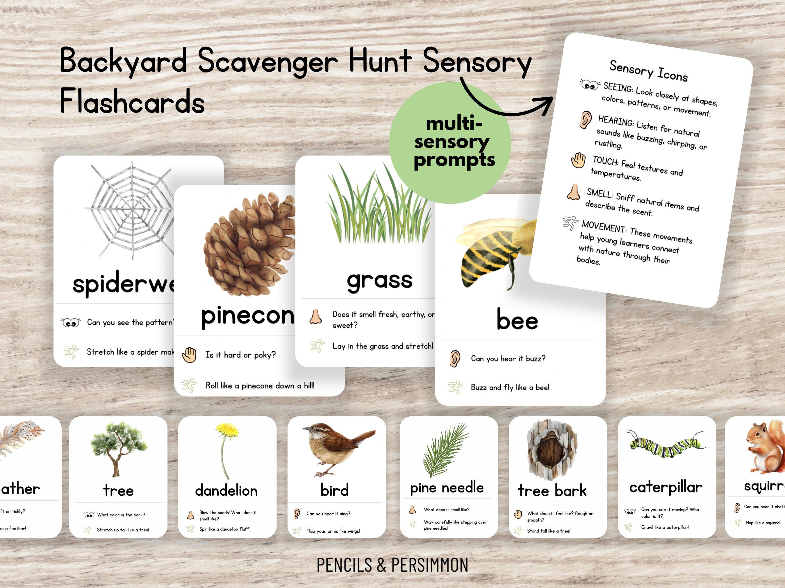 Backyard Adventure Flashcards for Kids – Nature Hunt With Sensory ...