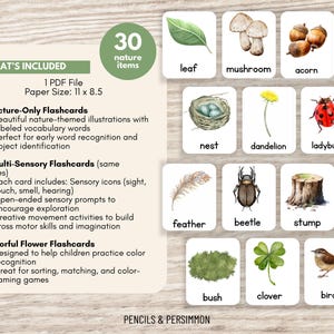 Backyard Adventure Flashcards for Kids – Nature Hunt With Sensory ...