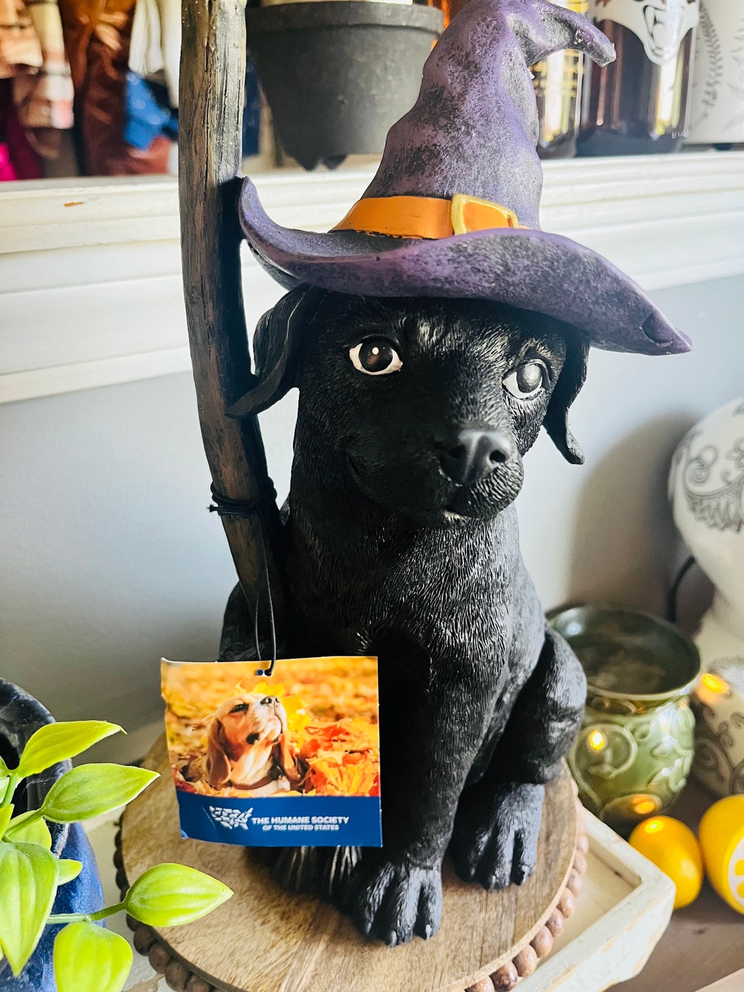 Black Lab Halloween Witch Statue - Etsy