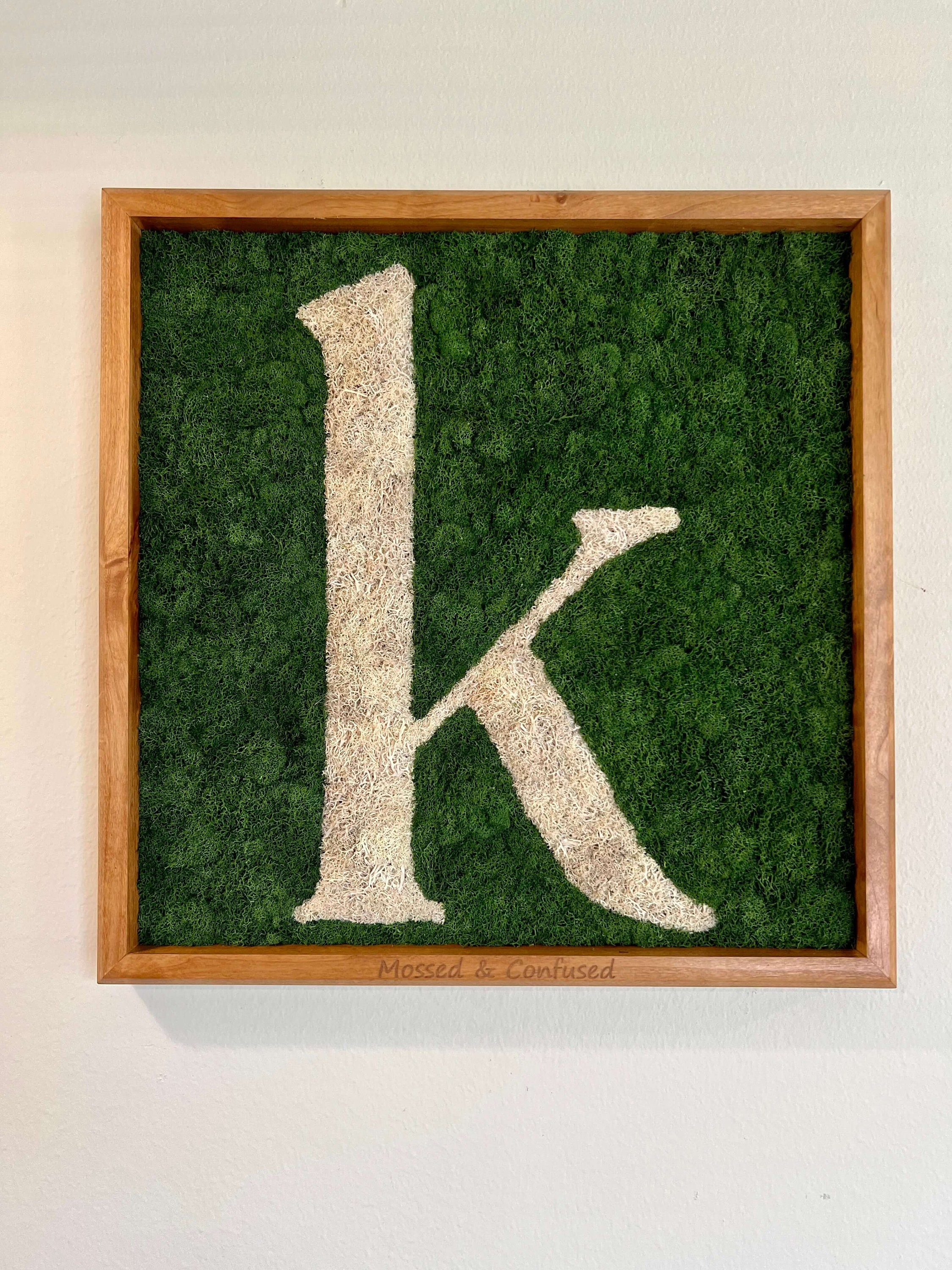 Letter Moss Art, Moss Art, Preserved Moss Art, Framed Moss Art, Moss ...