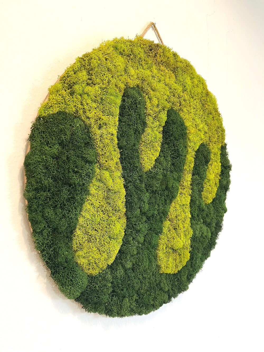 Drip Moss Art, Moss Art, Preserved Moss Art, Framed Moss Art, Moss Art ...