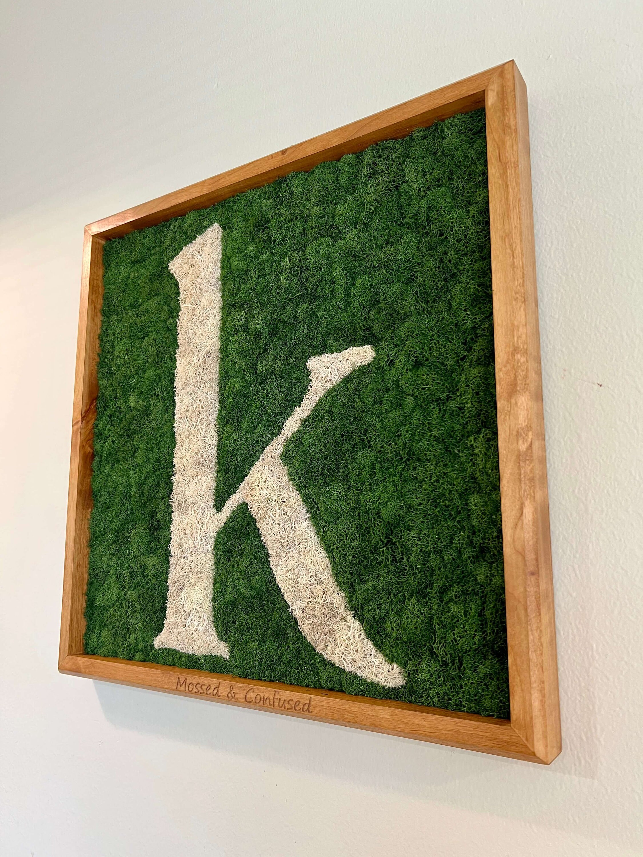 Letter Moss Art, Moss Art, Preserved Moss Art, Framed Moss Art, Moss ...