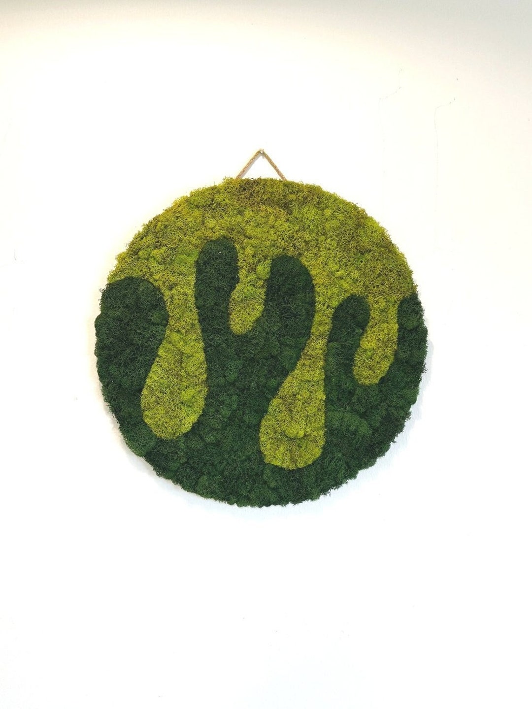 Drip Moss Art, Moss Art, Preserved Moss Art, Framed Moss Art, Moss Art ...