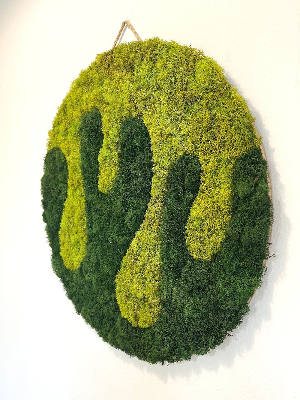 Drip Moss Art Moss Art Preserved Moss Art Framed Moss Art - Etsy