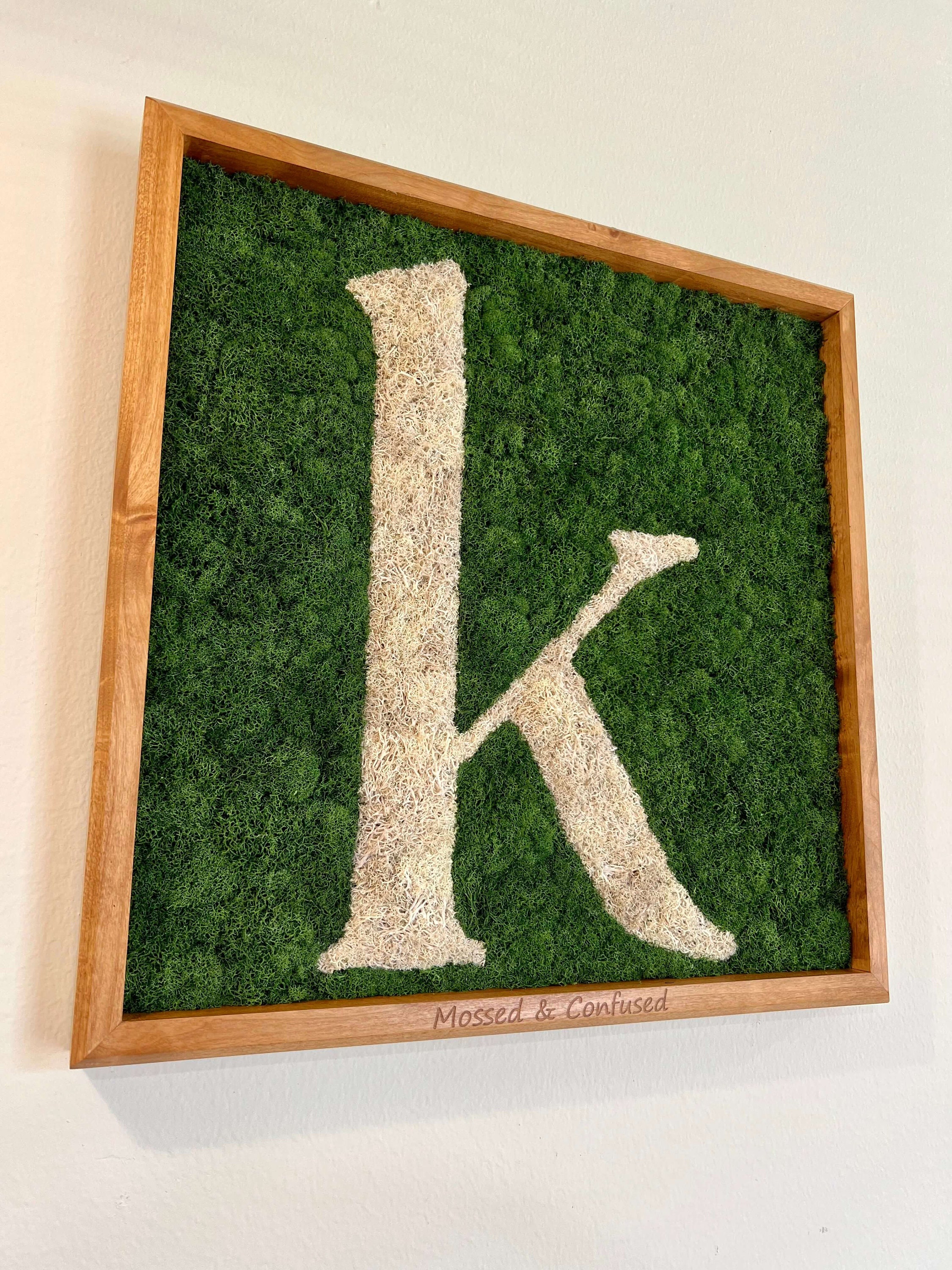 Letter Moss Art Moss Art Preserved Moss Art Framed Moss - Etsy