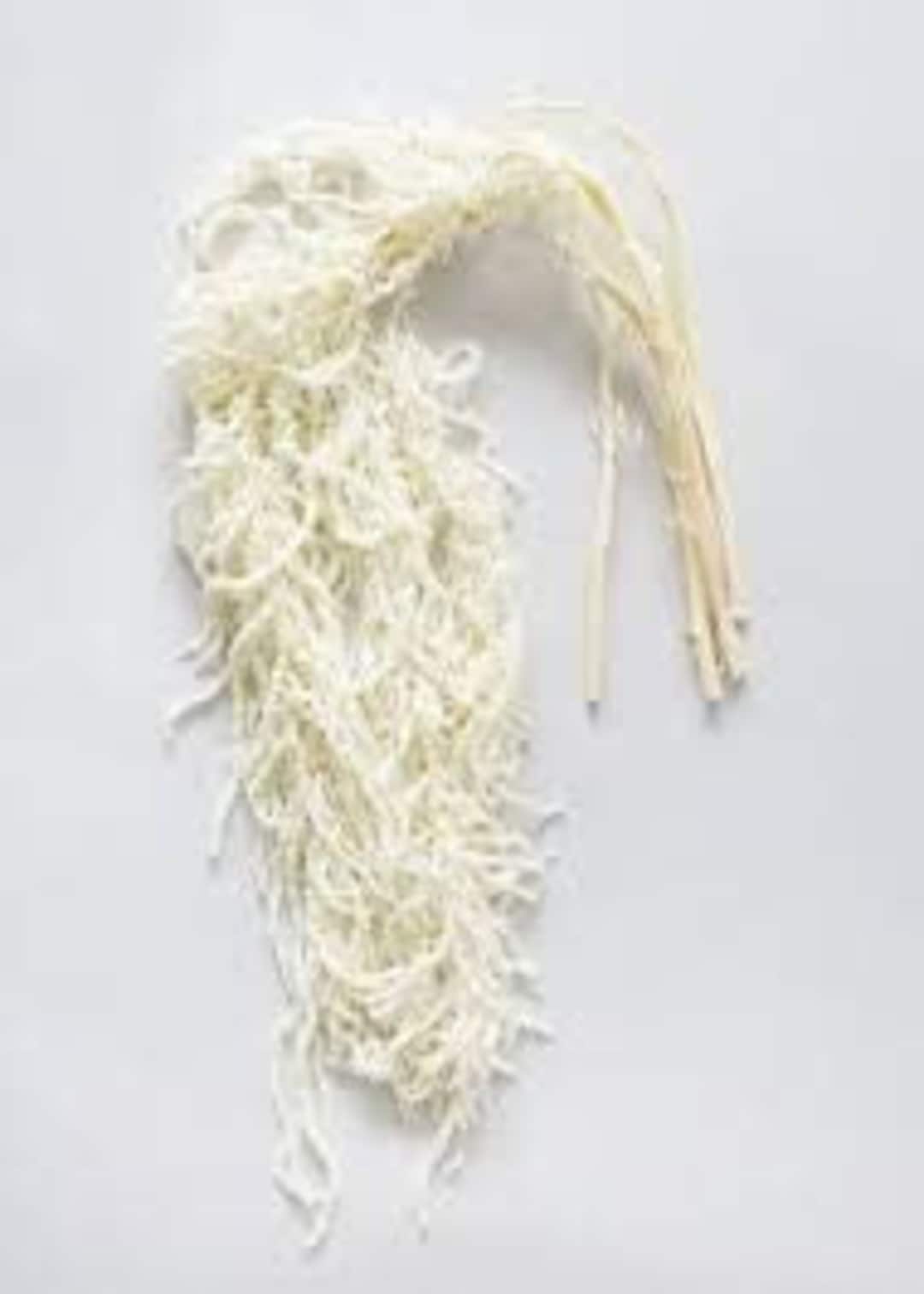 Amaranthus Caudatus Preserved Bleached White/white Hanging - Etsy