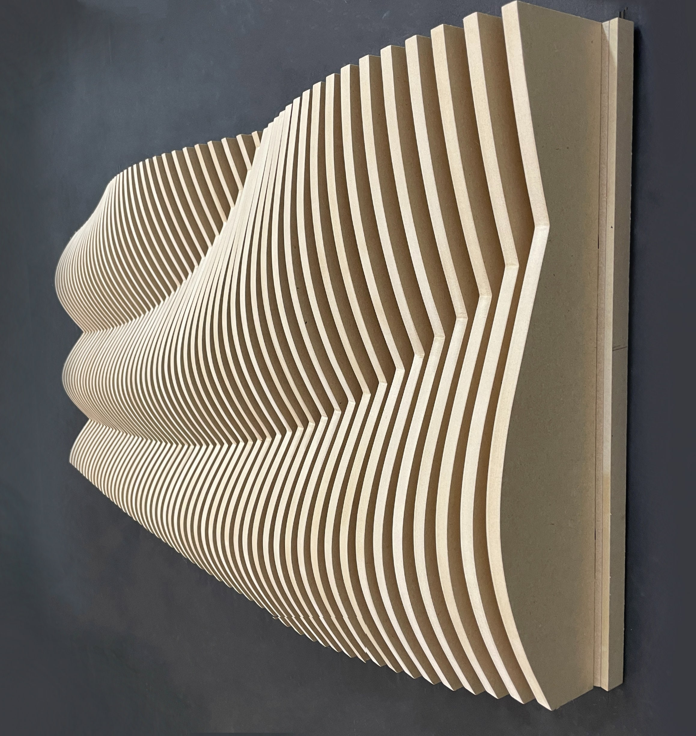 Parametric Wall 3D Art Large Wall Parametric Acrylic Wall - Etsy Australia