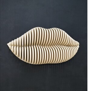 Red Lips Parametric 3D Wall Art Large Lips Wall Hangings - Etsy