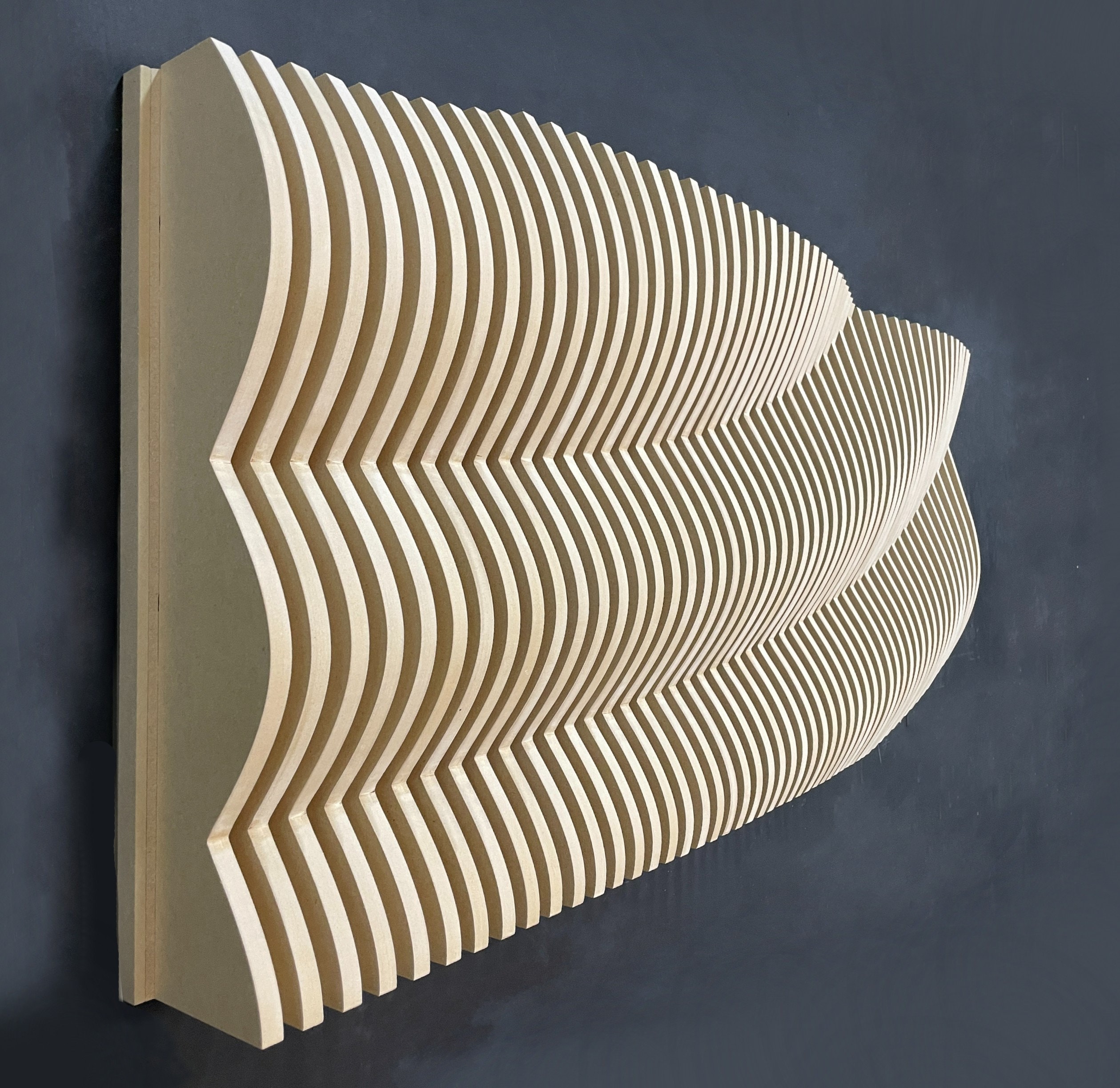 Parametric Wall 3D Art Large Wall Parametric Acrylic Wall - Etsy Australia