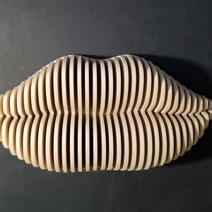 Red Lips Parametric 3D Wall Art Large Lips Wall Hangings Acrylic and ...