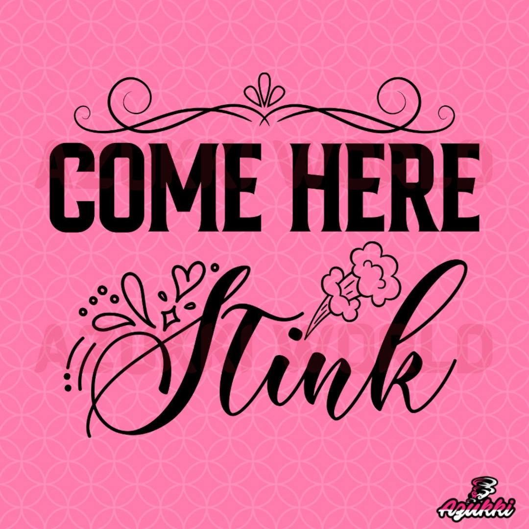 Come Here Stink SVG/PNG / Girl Designs / Girl Graphics / Girls ...