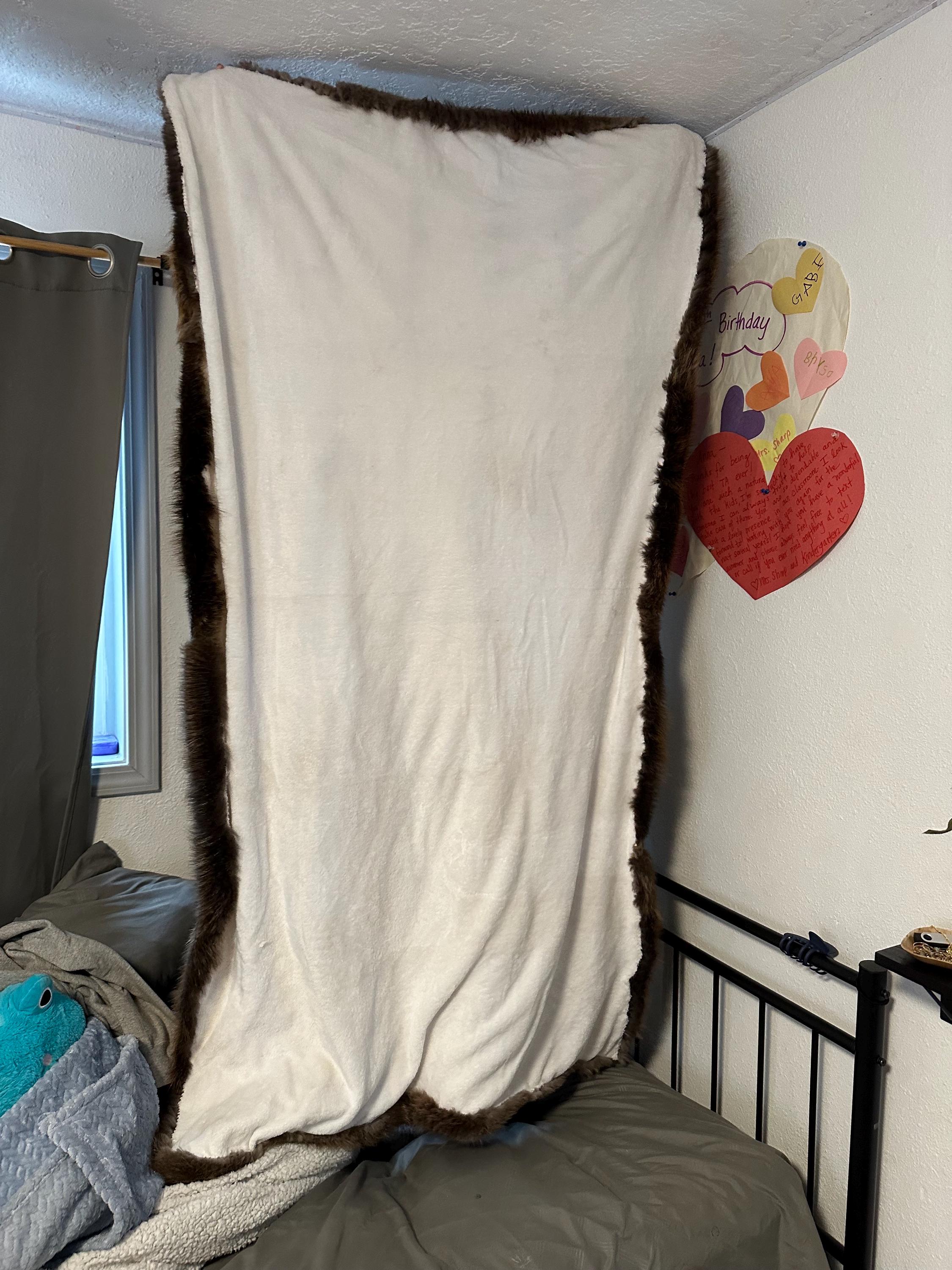 Beaver Blanket - Etsy