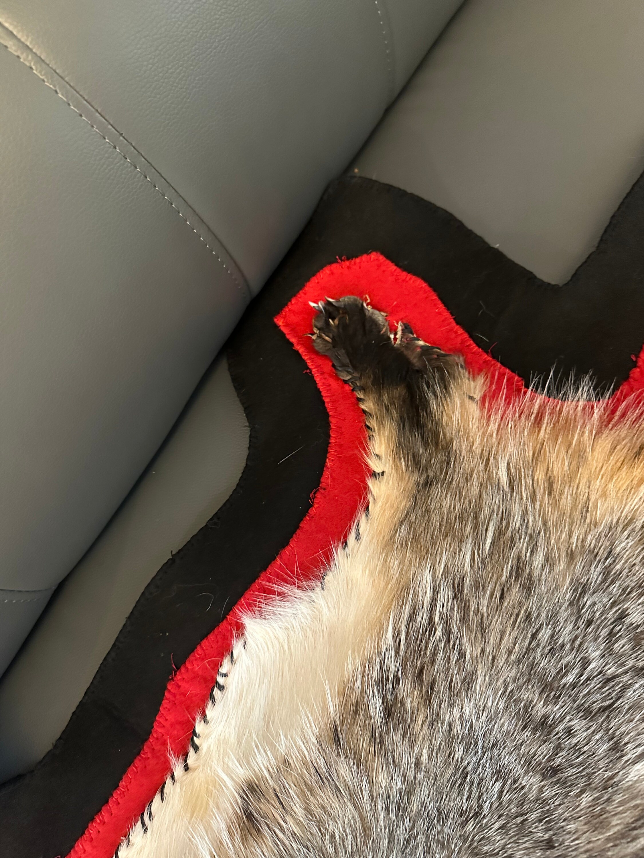 Decorative Badger Rug - Etsy