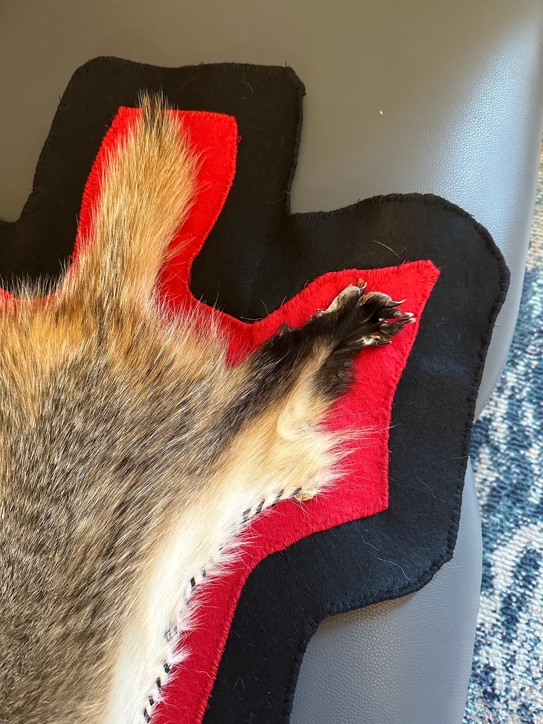 Decorative Badger Rug - Etsy