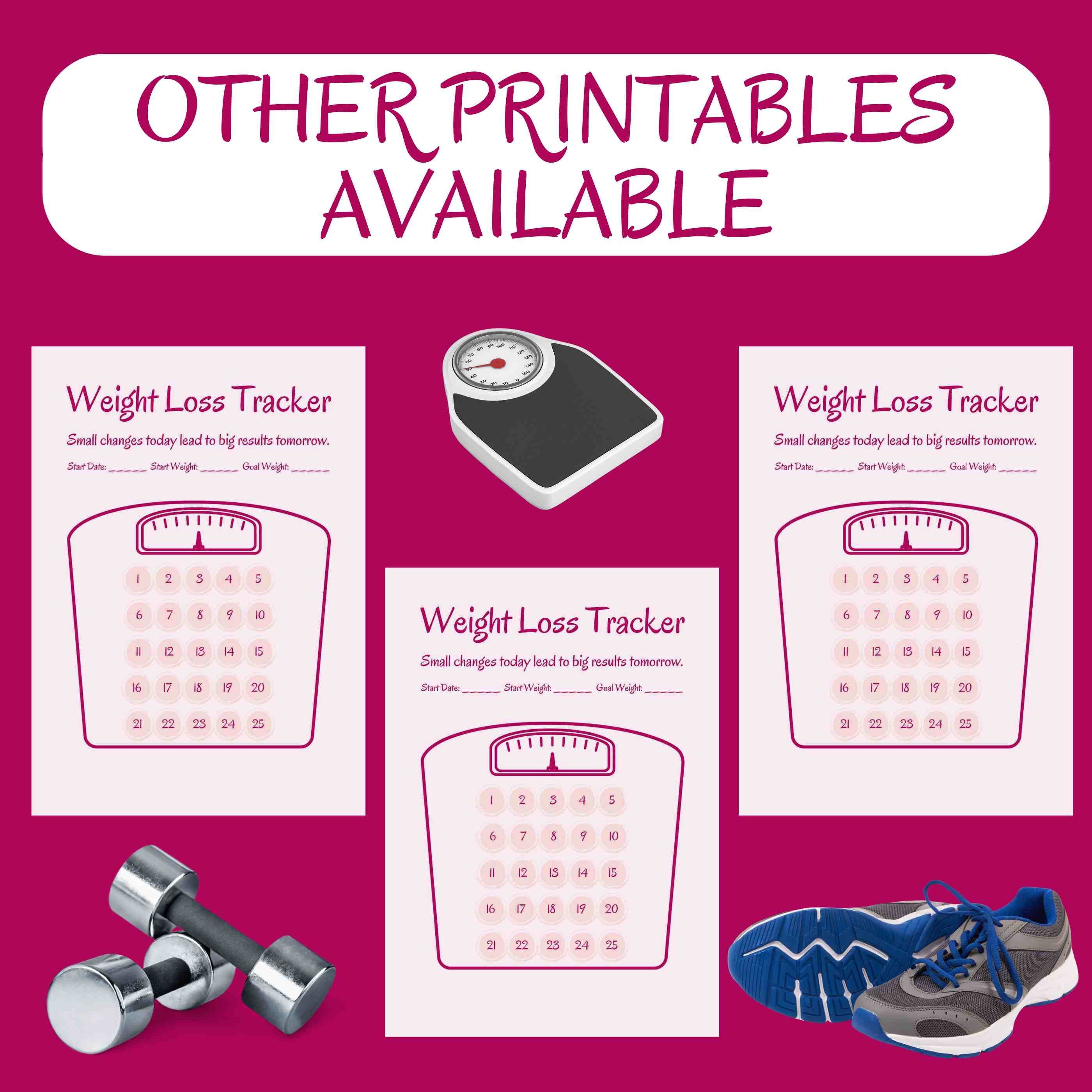 Printable Weight Loss Tracker Checkoff Sheet - Fitness Progress Chart ...