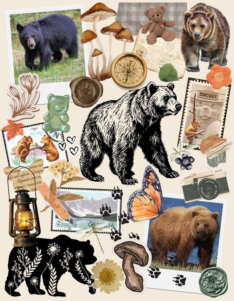 Girly Bear Collage Print, Rustic Printable Wall Decor, Cute Outdoorsy ...