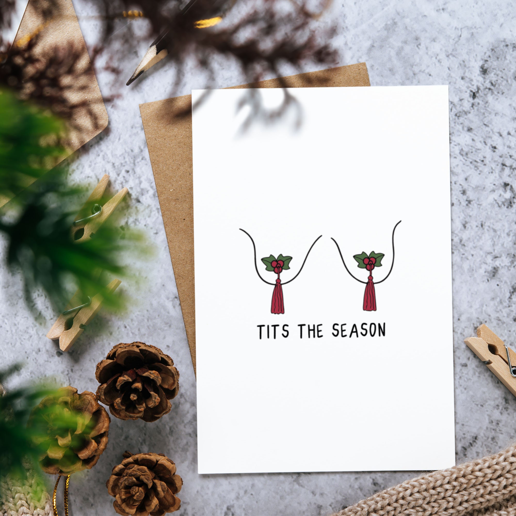Adult Christmas Card "tits the Season" | Funny Christmas Cards - Fun ...