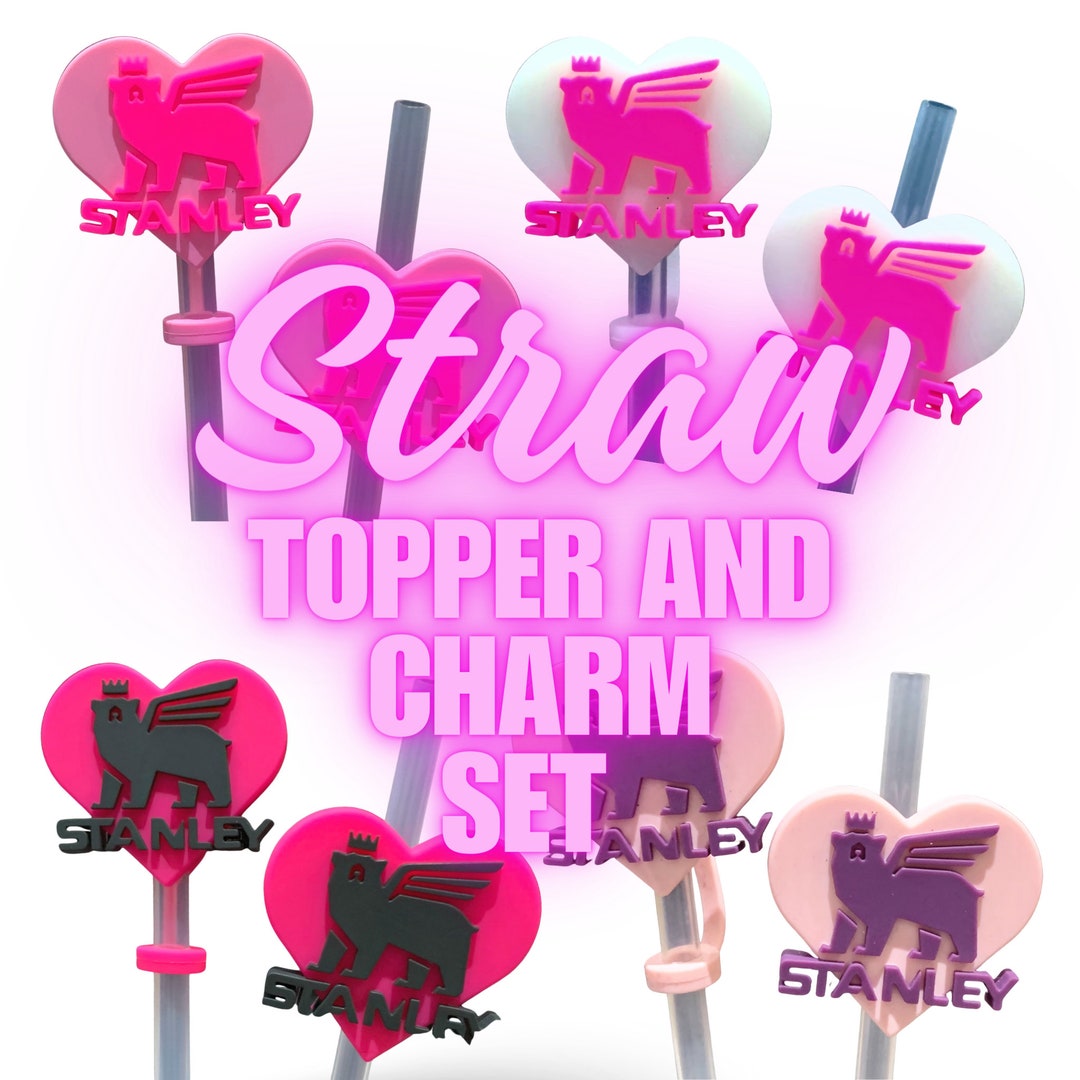 Stanley inspired Straw Topper and Straw Charm Set, Straw Top Protector ...