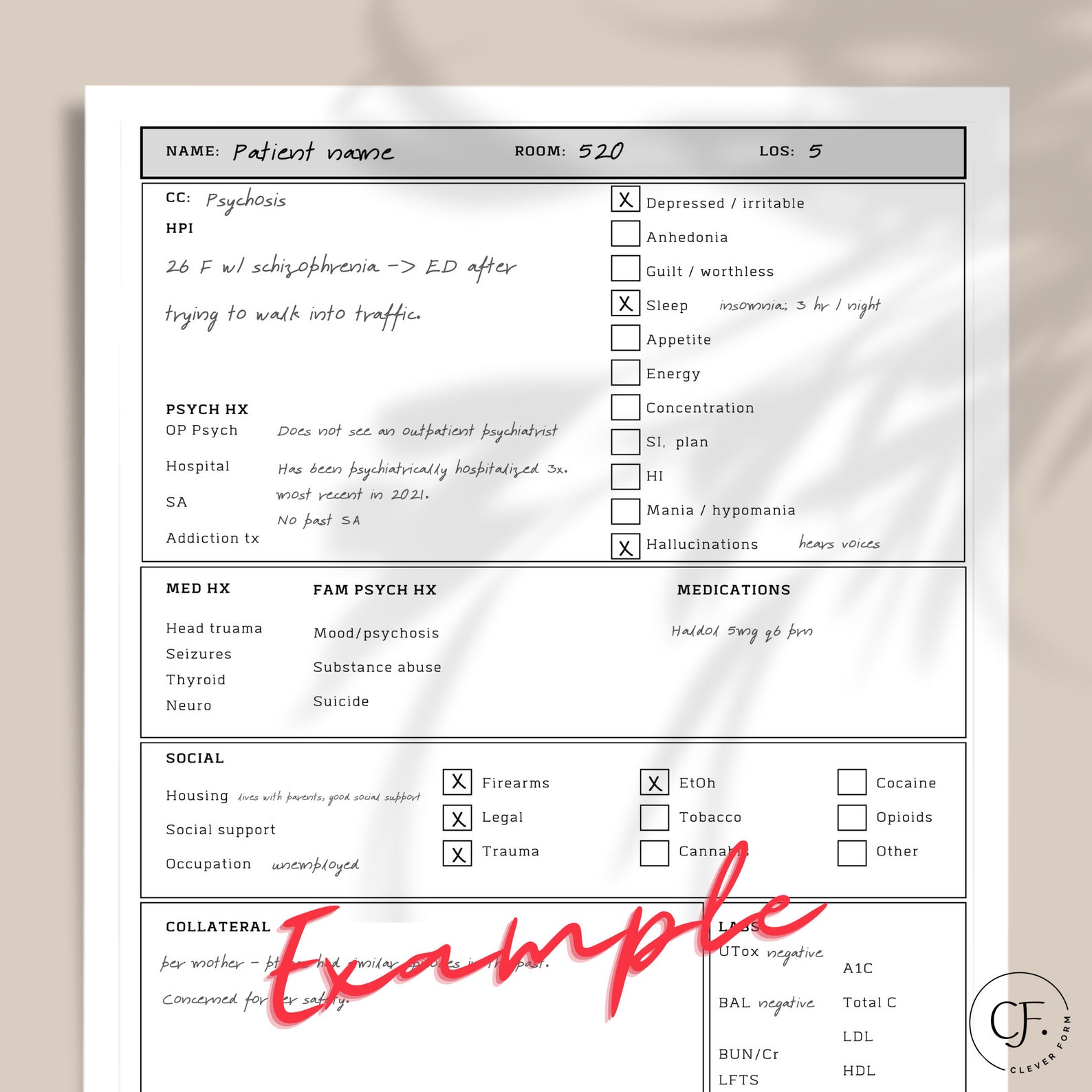 Psychiatry HPI Template Psych History And Physical Etsy