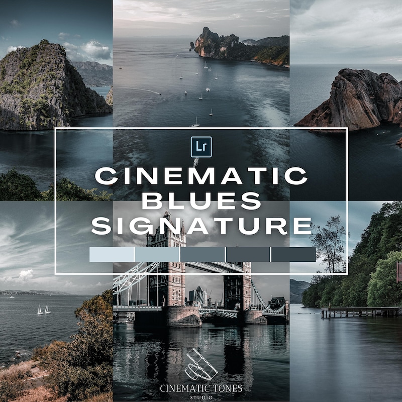 Blue Blue Film - Etsy