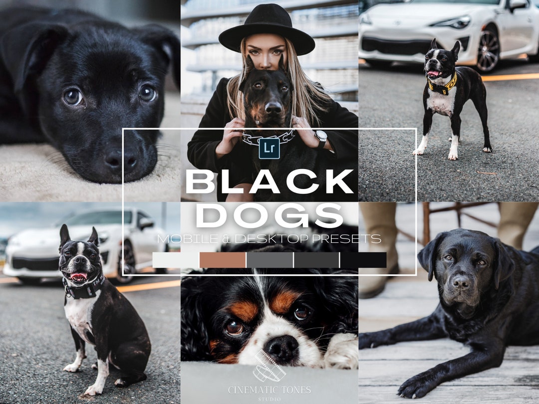 15 Black Dogs Lightroom Presets Mobile & Desktop, Dog Presets, Dog ...