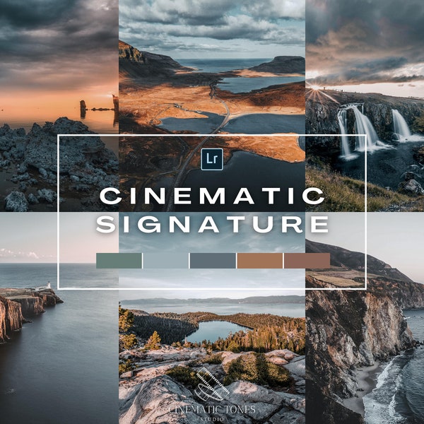 Cinematic Presets - Etsy