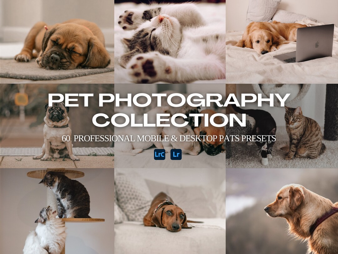 60+ Pets Presets Bundle for Lightroom Mobile & Desktop, Dog Presets ...
