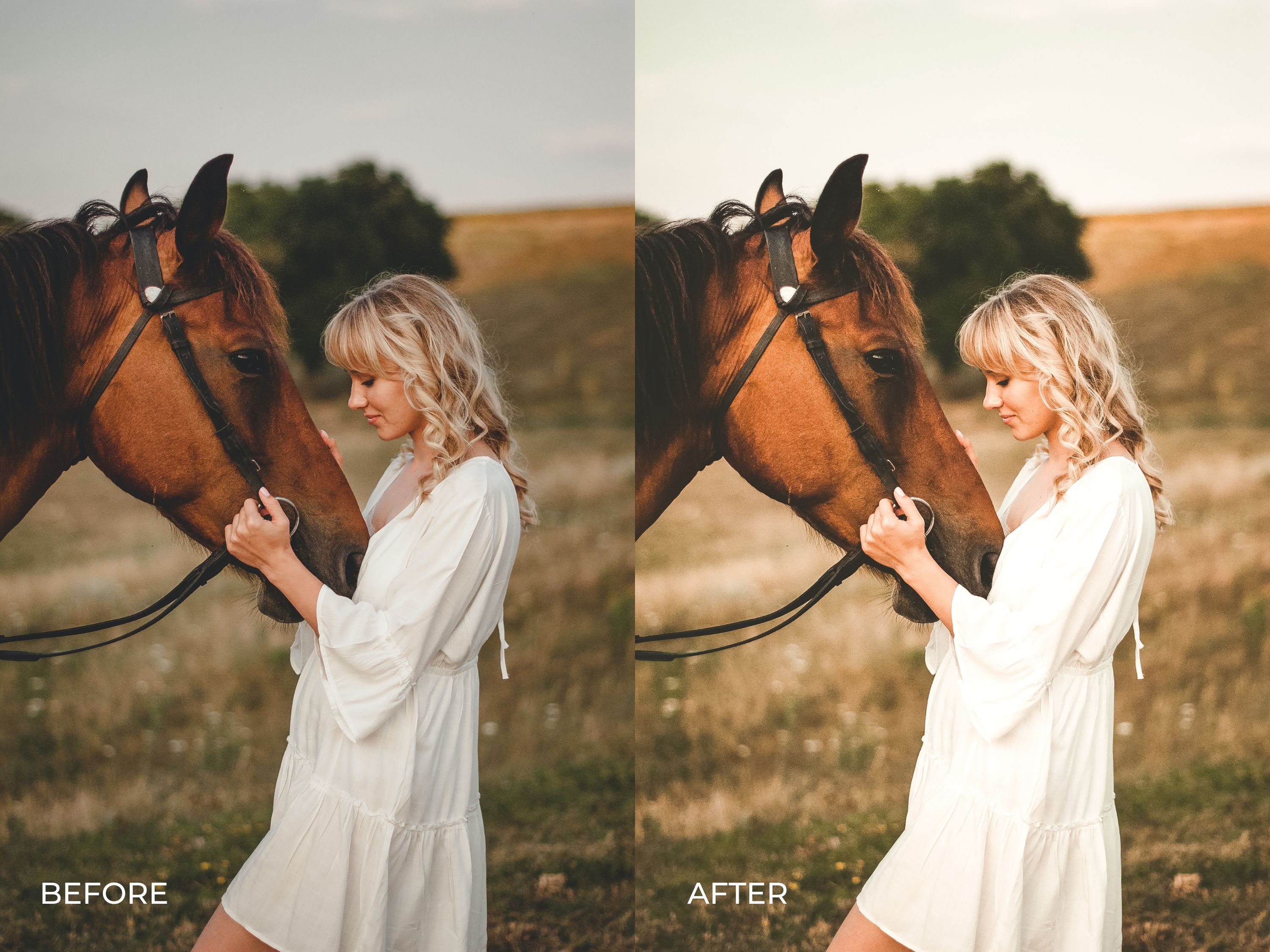 10 EARTHY BOHO PRESETS | Rustic Boho Lightroom Presets | Bohemian ...