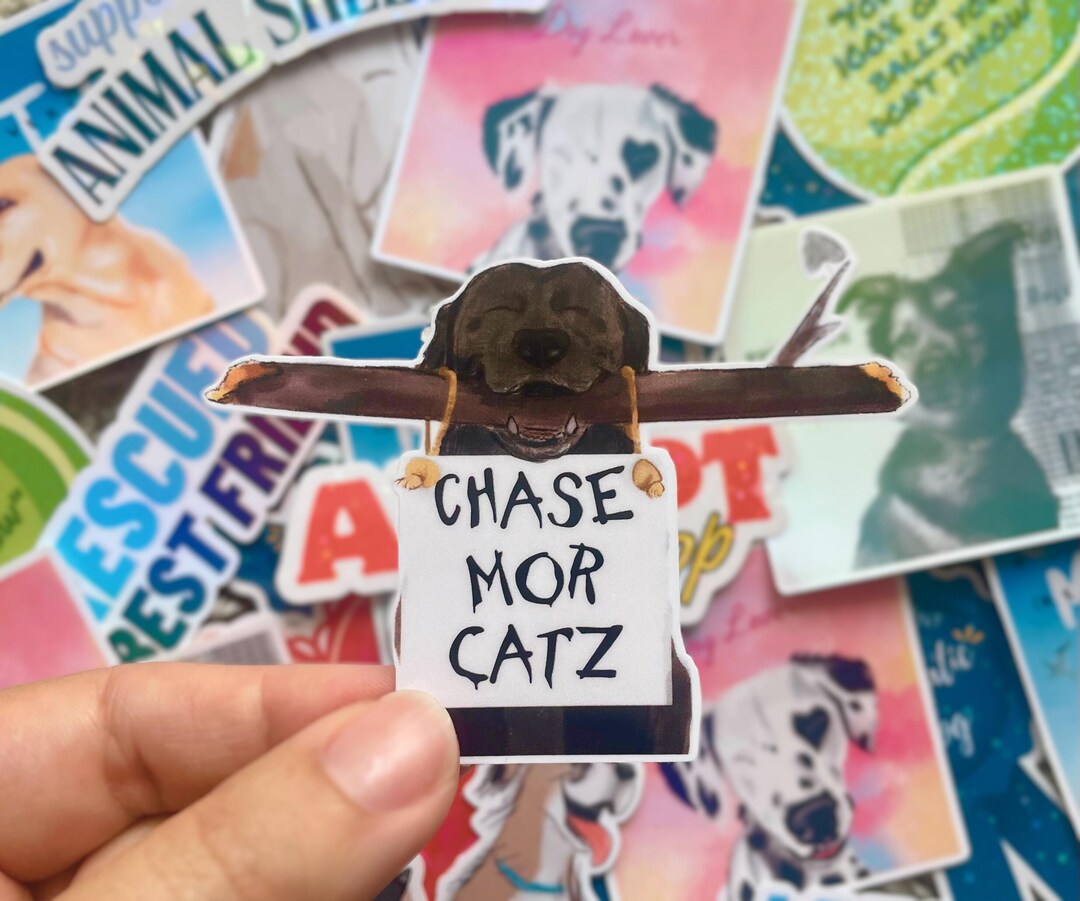 Funny Dog Sticker: "chase Mor Catz" Vinyl Decal - Pet Humor Gift - Etsy