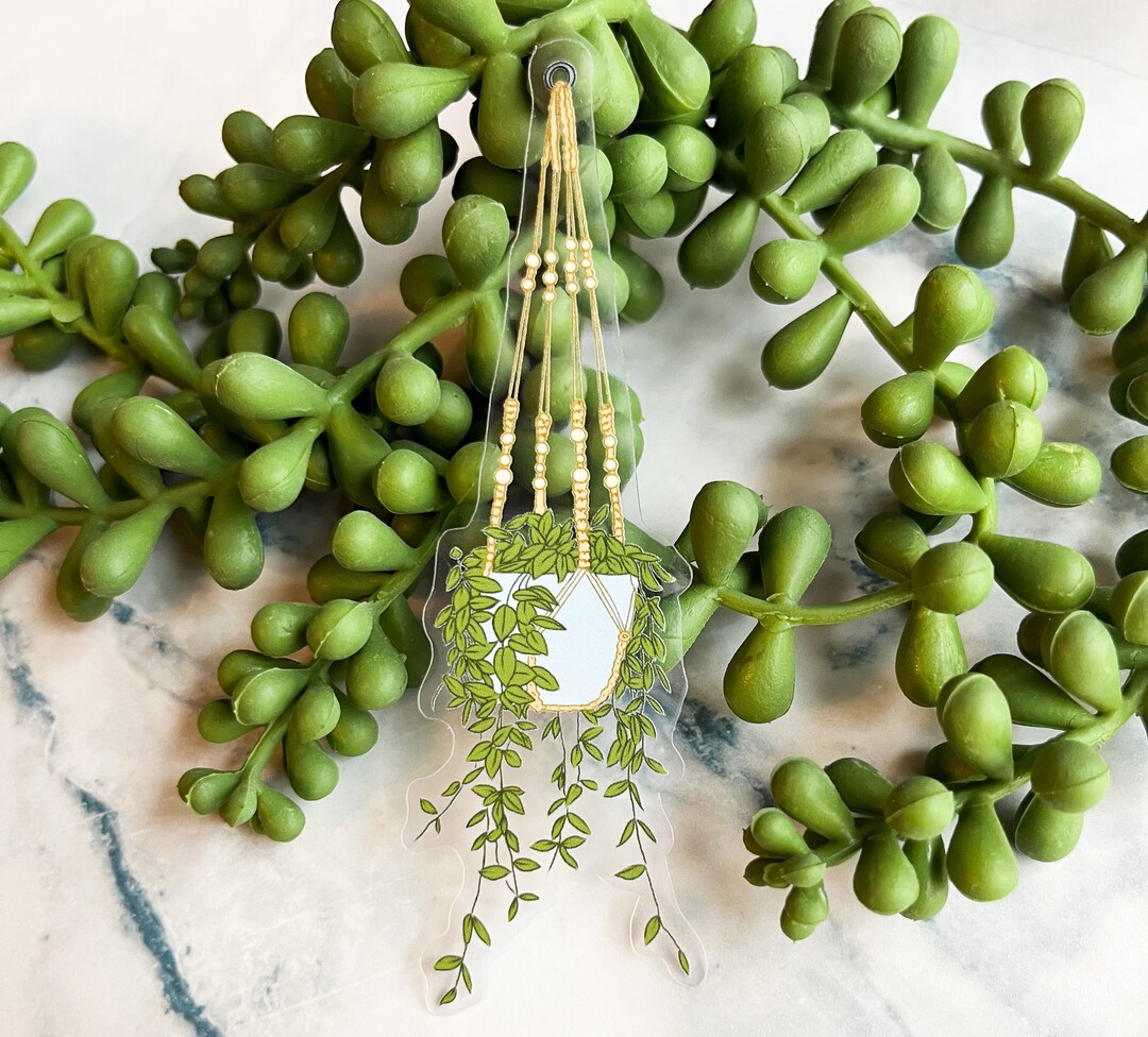 Hanging Plant Sticker | Gardening Sticker | Macrame Plant Hanger ...