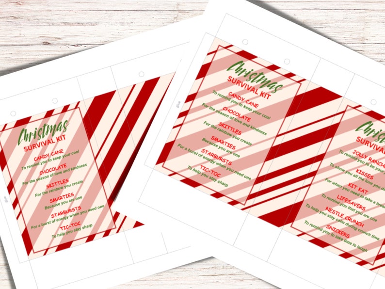 DIY Christmas Survival Kit Treat Bags: Editable Printable (digital ...
