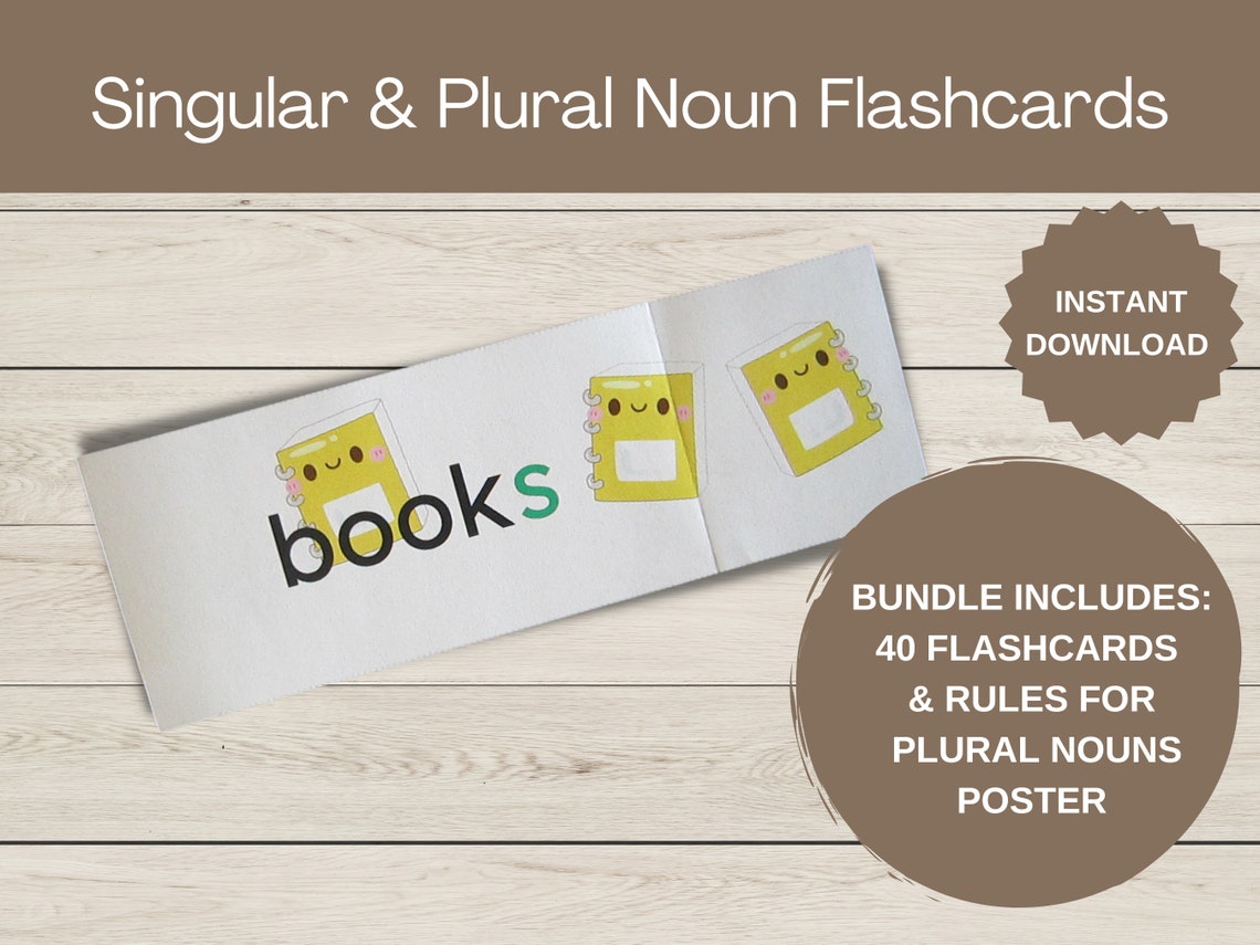 Flashcards Singular Nouns Flashcards Plural Nouns Flashcards - Etsy