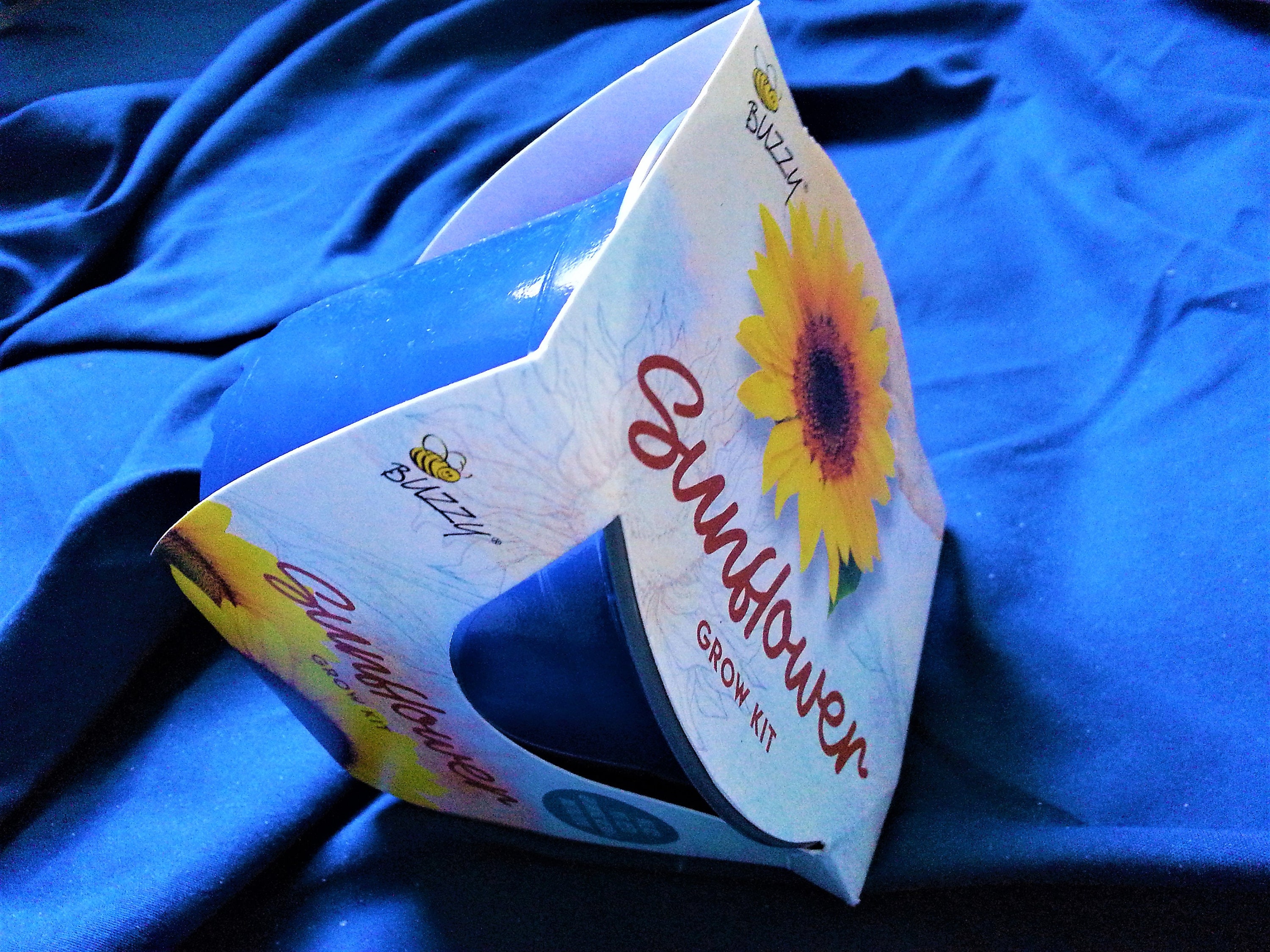 Grow Your Own Sunflowers Kit - Everything Included! - Etsy