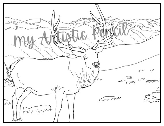 Realistic Elk Coloring Pages