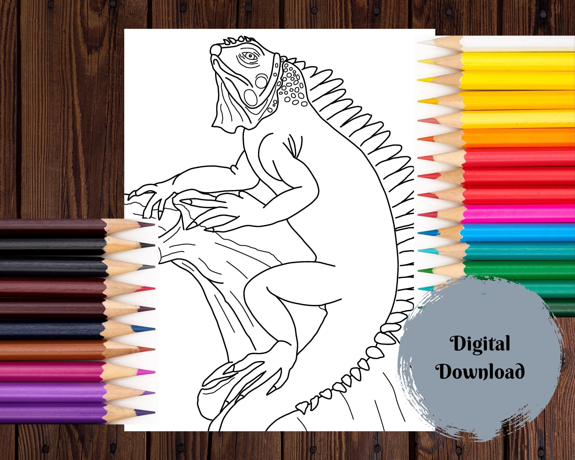 Iguana Coloring Pages Printable