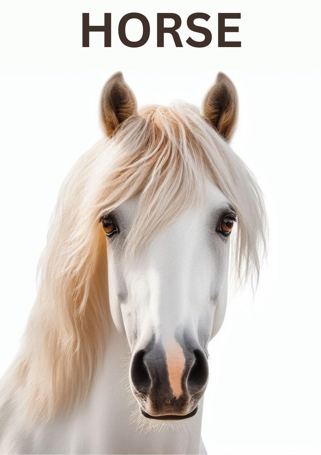 Horse Printable Flashcard for Learning. - Etsy