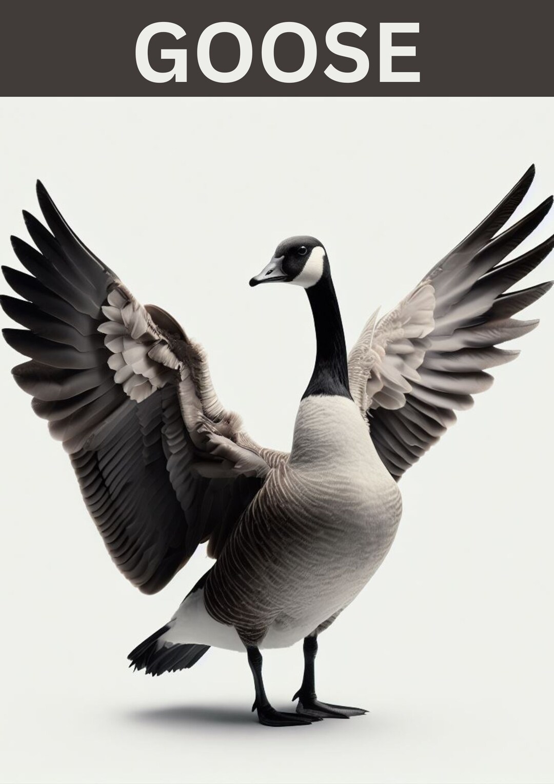 Goose Printable Flashcard for Learning. - Etsy