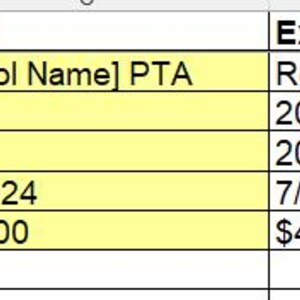 PTA Treasurer Financial Spreadsheet Template for PTO Treasurers - Etsy