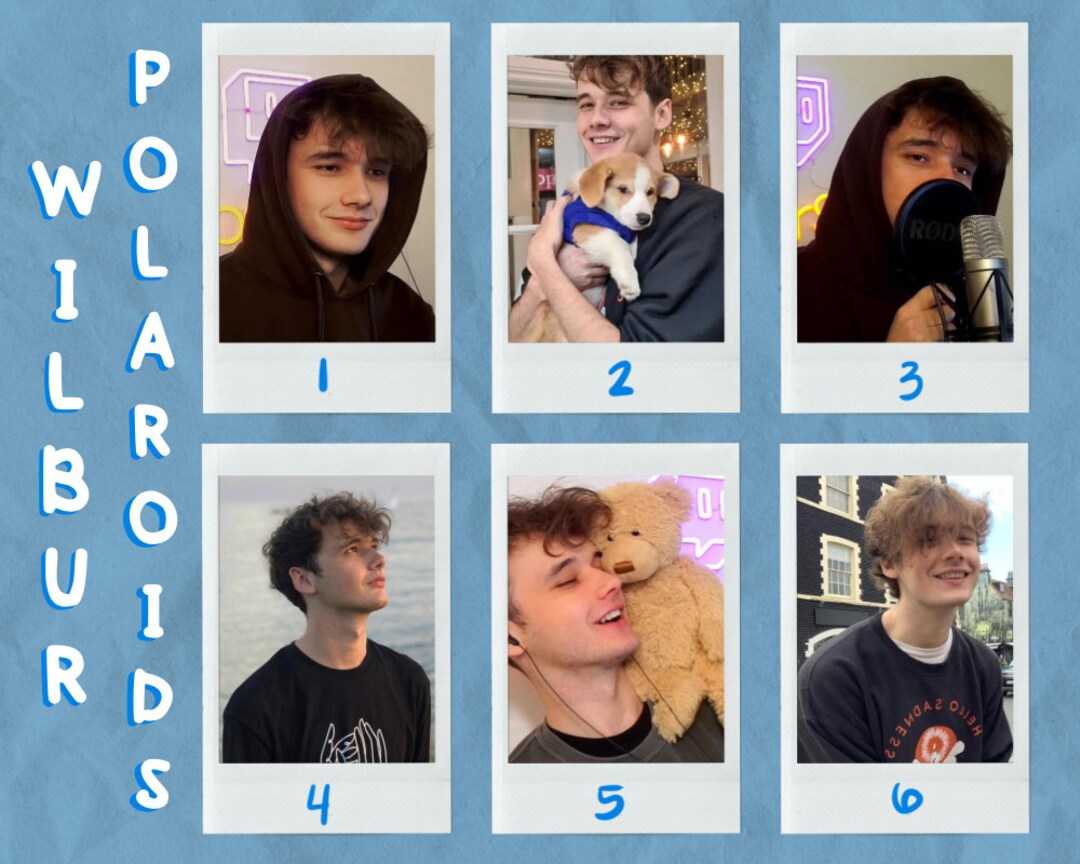 Wilbur Soot Polaroids - Etsy