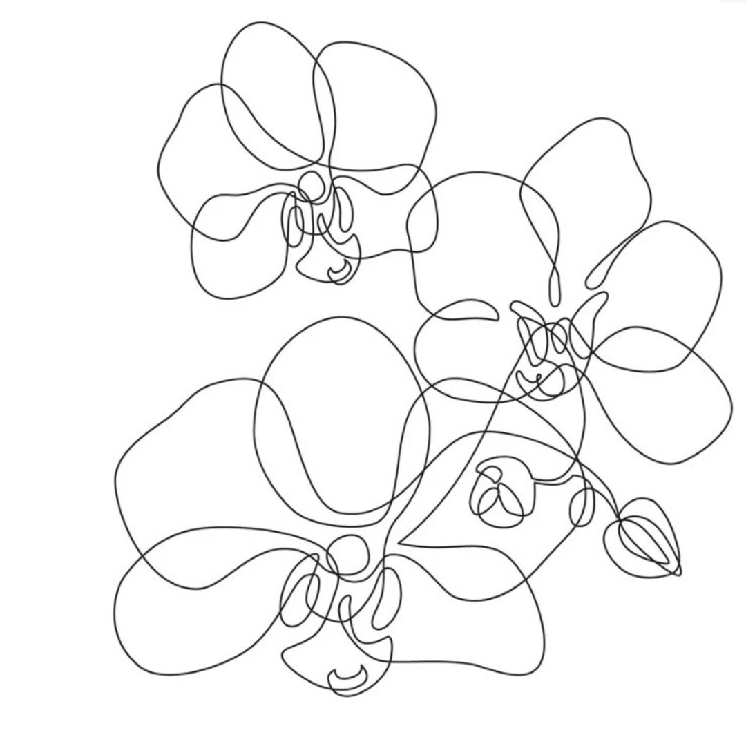 Beautiful Orchids Line Art Pattern Exotic Flowers Image - Etsy