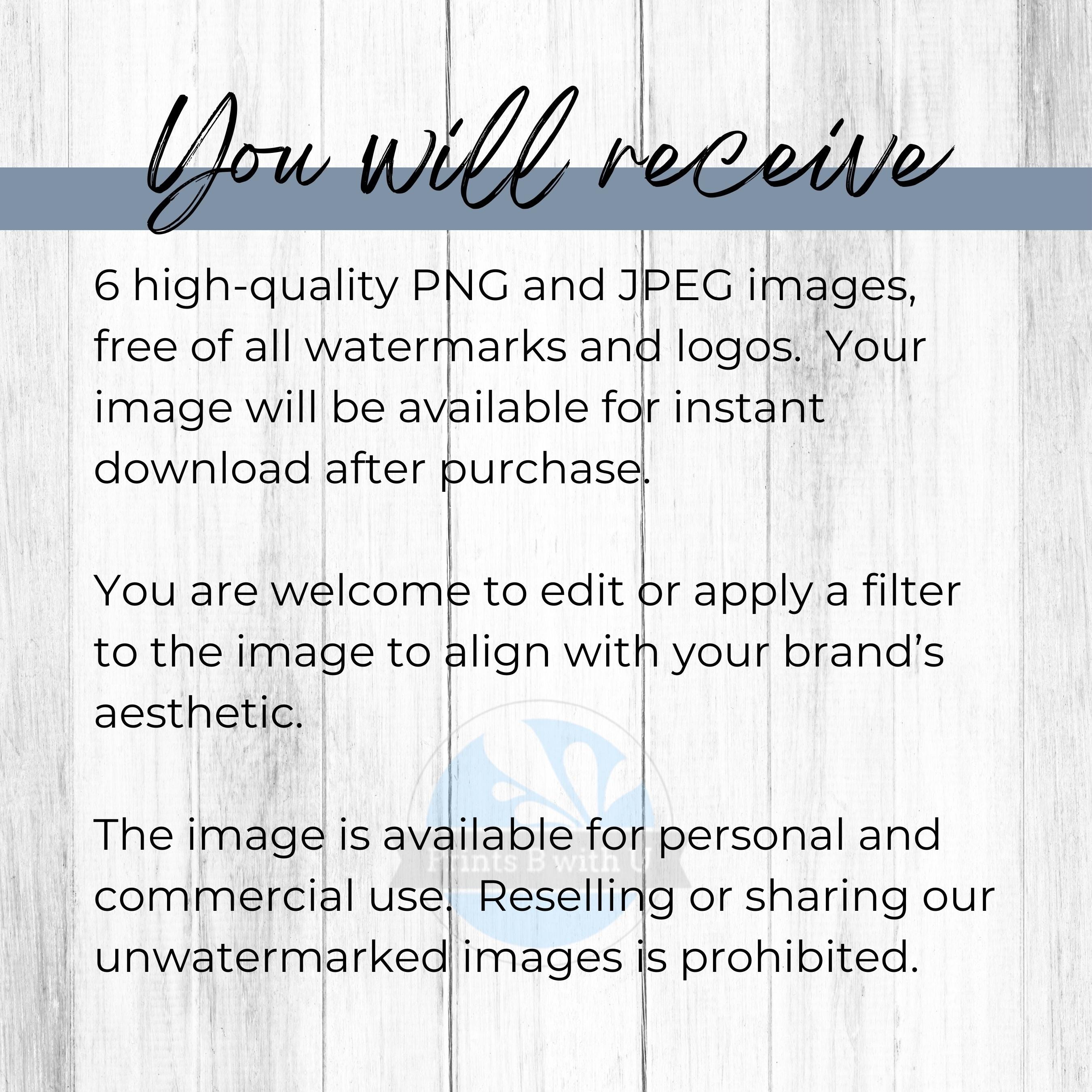 Car Magnets Size Chart, Car Bumper Magnets Sizing Guide, Car Magnet ...