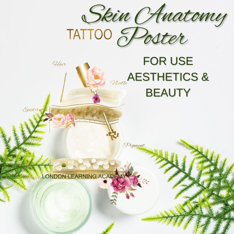 Digital Skin Anatomy Poster – Perfect for Beauty & Aesthetic ...