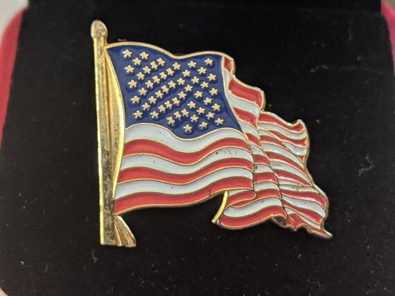 Waving American Flag With Pole PVC Rubber Backed Lapel Pin - Etsy